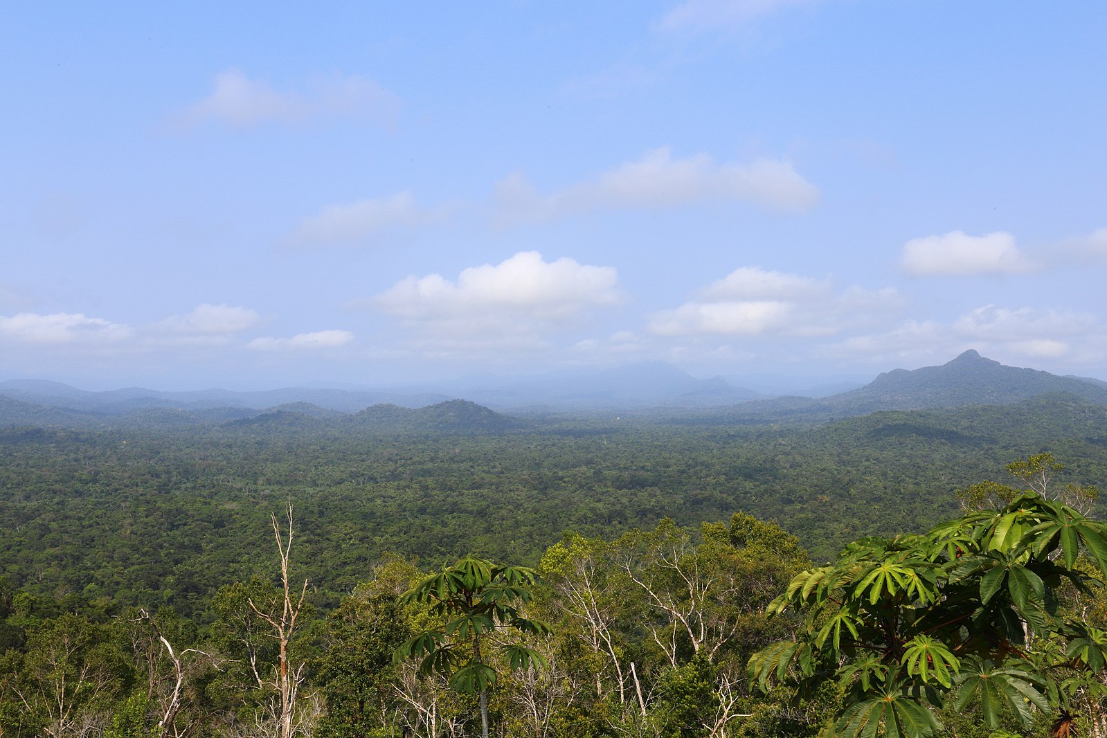 Cockscomb Basin Wildlife Sanctuary - Belize