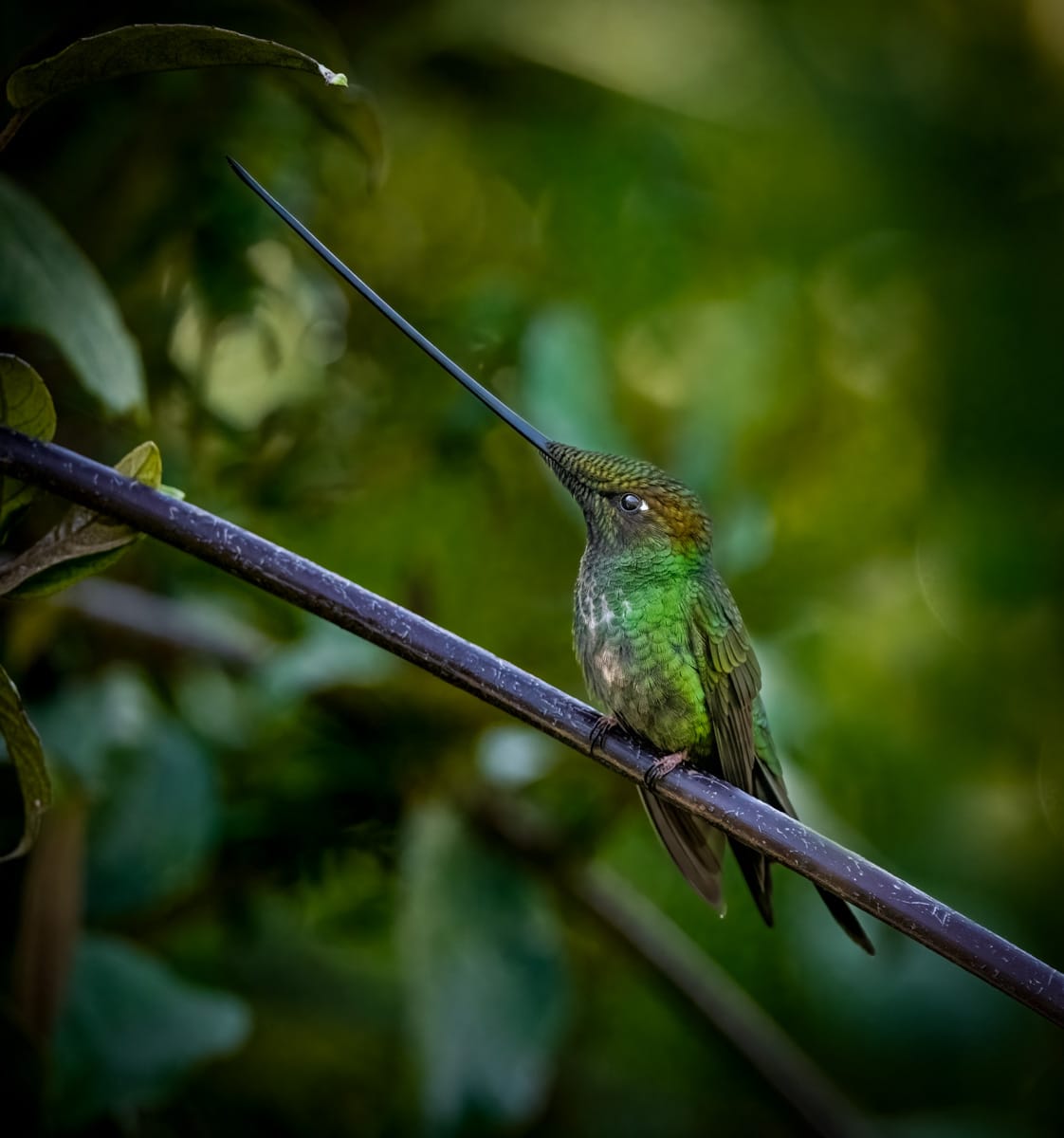 Brilliant Bills - Owen Deutsch Photography