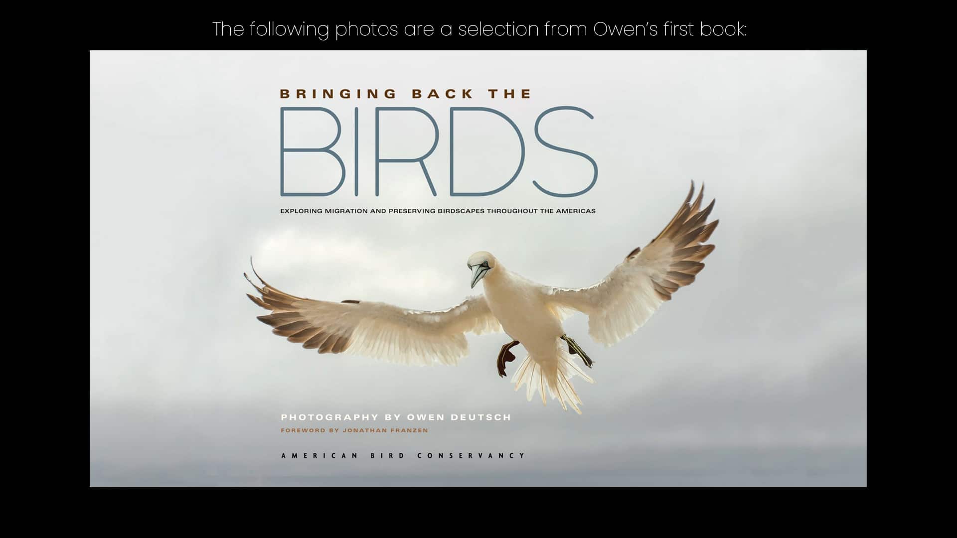 BBB Title 2 - Owen Deutsch Photography